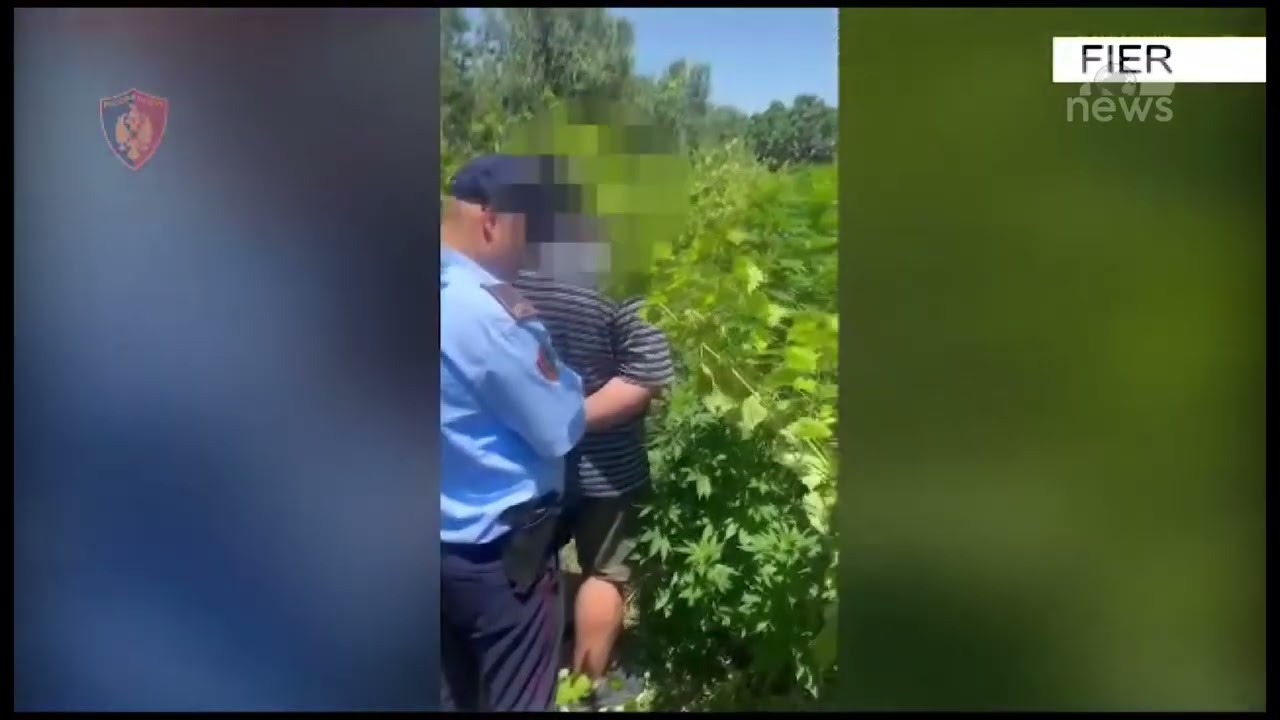 Top News – Me kokainë, fishekë dhe elektroshok/ Arrestohen tre persona ... Top News – Me kokainë, fishekë dhe elektroshok/ Arrestohen tre persona ...
