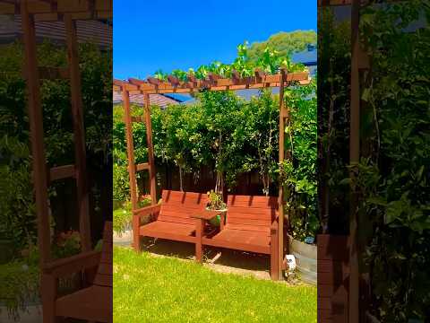 DIY Best low budget Grapevine Trellis #diy #grapevines #trellis