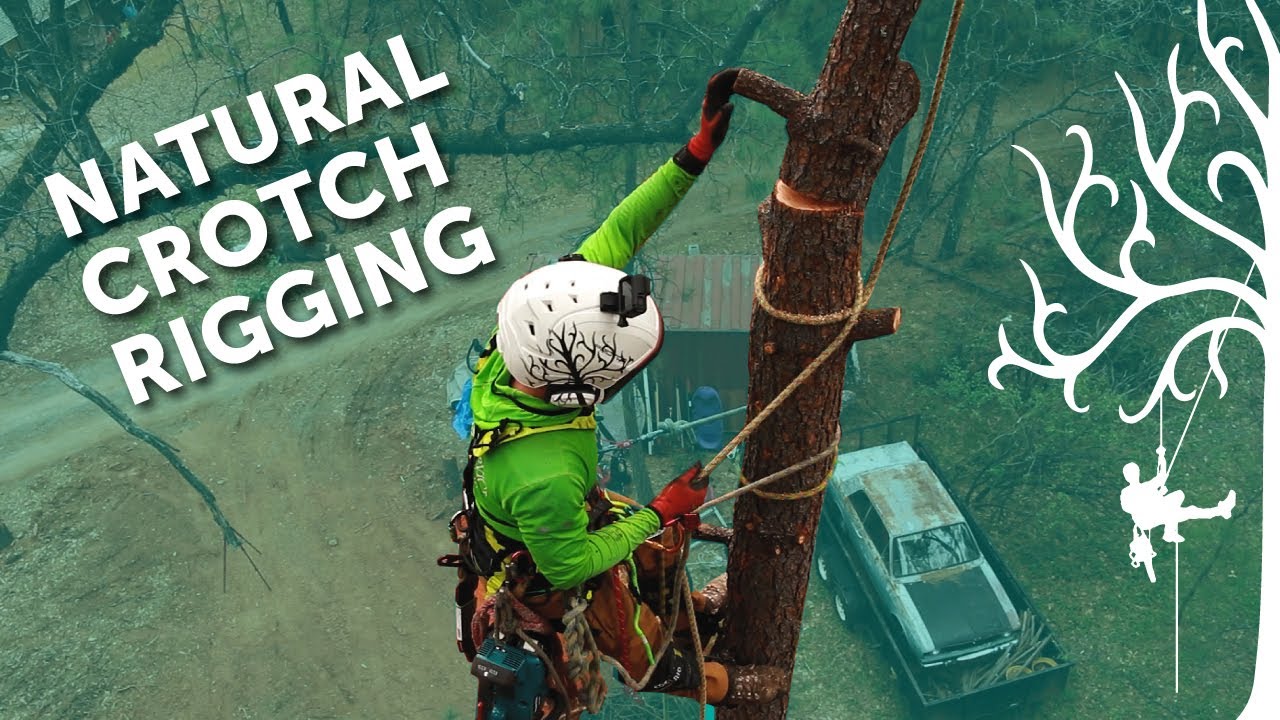 Negative rigging basics Pt. 3 | Rigging with Just a rope! Natural crotch rig | tree removal how-to