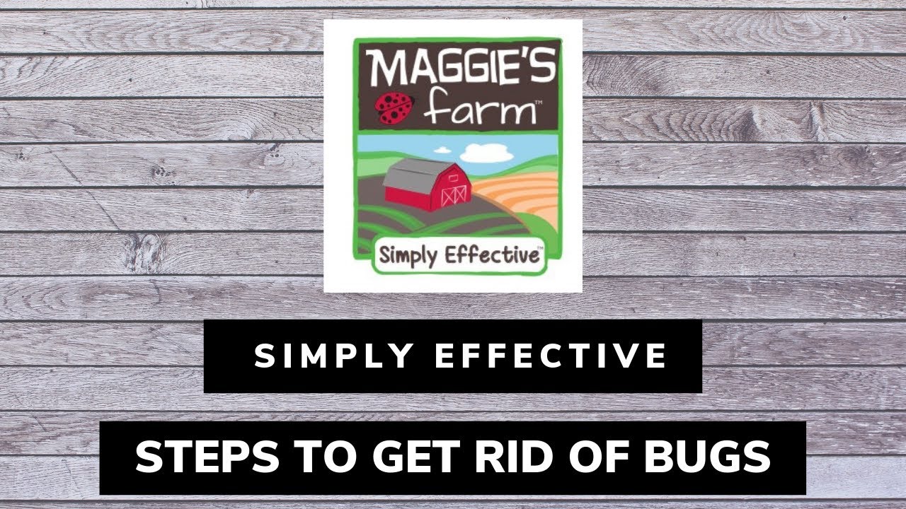 Getting Rid of Bugs: The Simply Effective Way