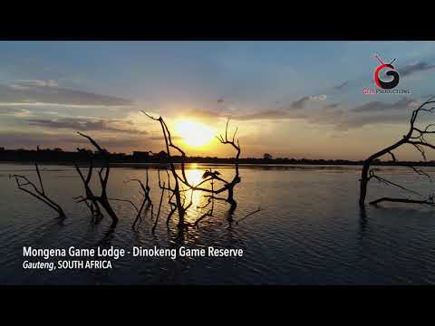 SA Tourism Commercials - PTA - MONGENA GAME LODGE