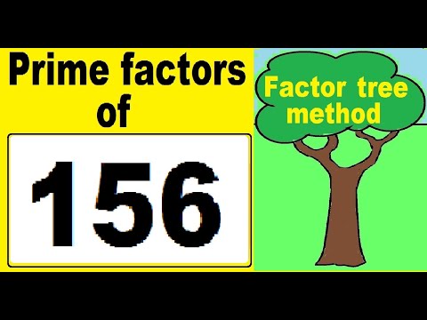 Prime factors of 156. Prime factors decomposition of 156. Factor tree method.