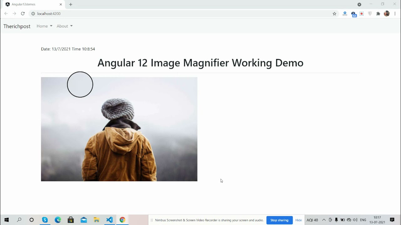 Angular 12 Image Magnifier Working Demo