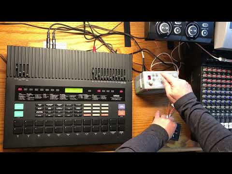 Radel Dhruva CD Super, modified with output jack and speaker | Reverb