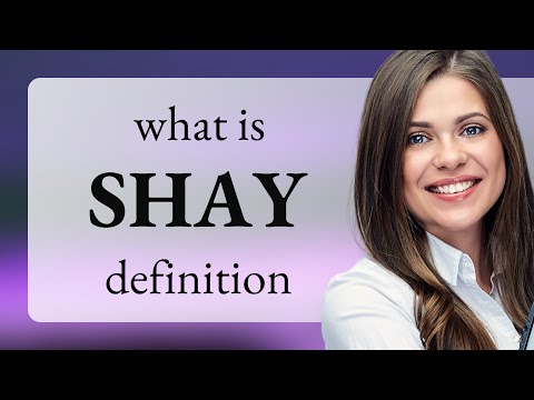 Shay — definition of SHAY