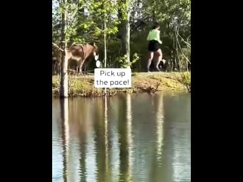 Women Jogs With Farm Animals। Horse Racing। Horse Fight। Horse Video। Girl Exercise।