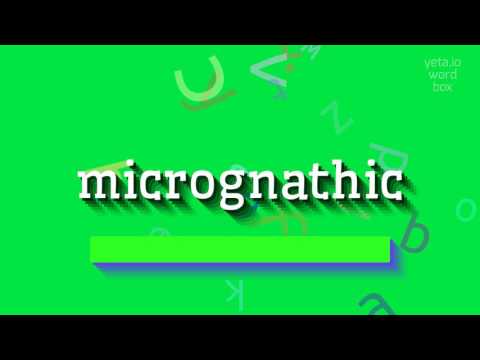 MICROGNATHIC - HOW TO PRONOUNCE MICROGNATHIC? #micrognathic