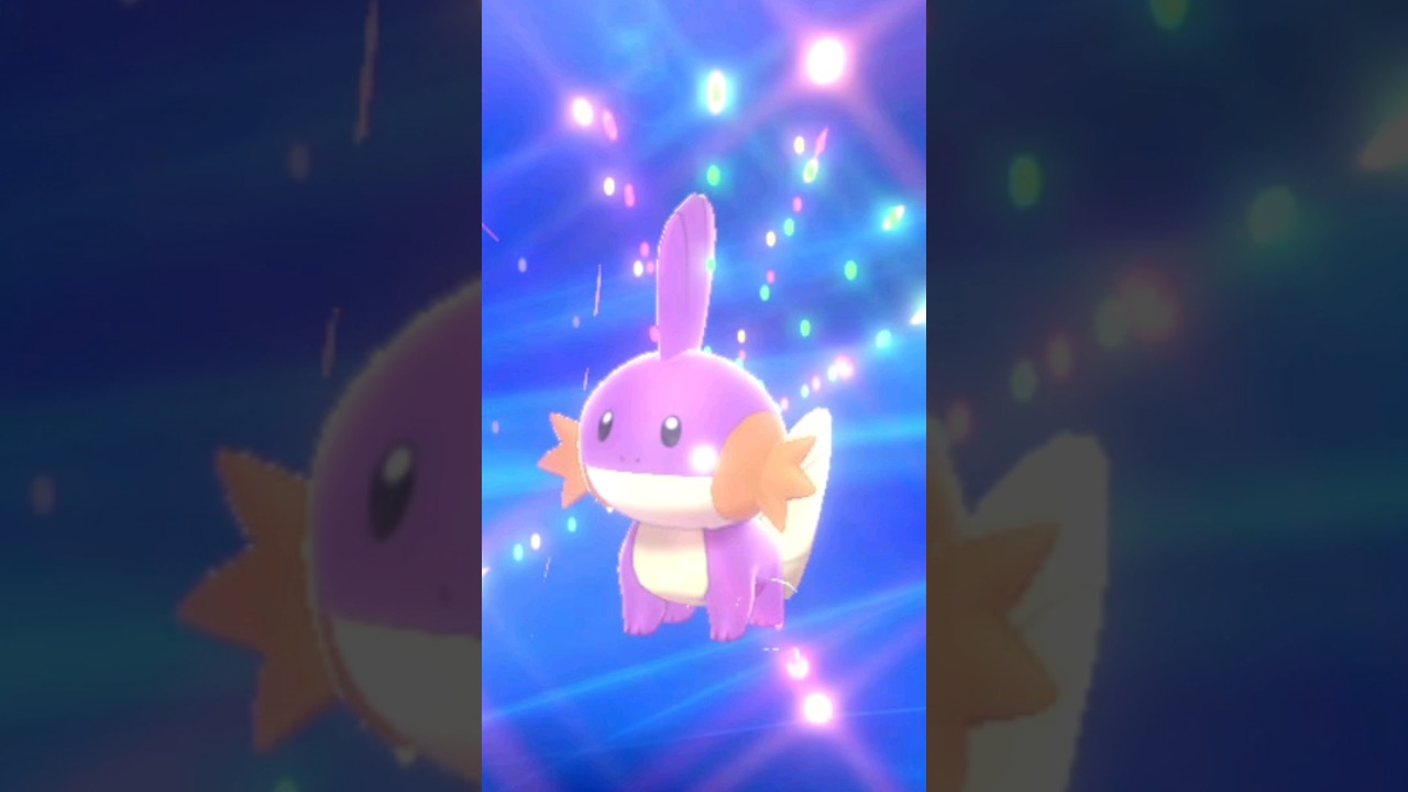 SHINY Mudkip Max 100 Evolution [Pokemon Shield] #shorts