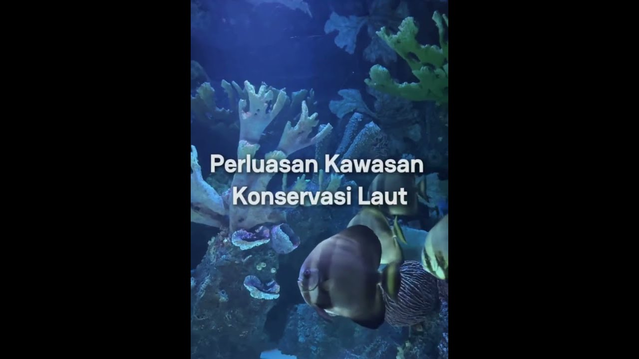 Perkuat Ekonomi Biru untuk Masa Depan Berkelanjutan #EkonomiBiru