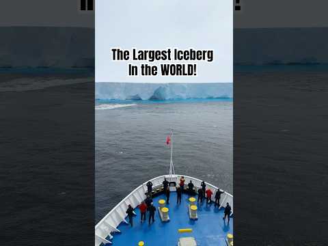 A23a- The World’s Largest Iceberg! #antarctica #travel #expeditionantarctica