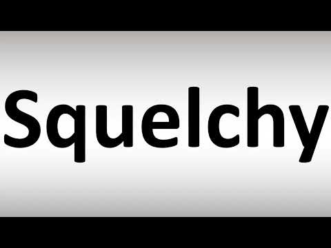 How to Pronounce Squelchy
