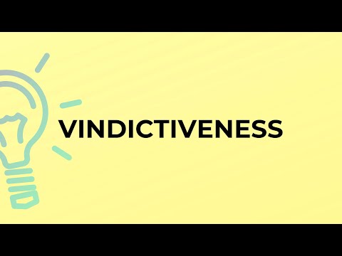 What is the meaning of the word VINDICTIVENESS?