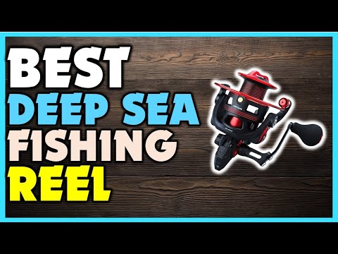 ✔️Top 5 Best Deep Sea Fishing Reels | Best Deep Sea Fishing Reels Review