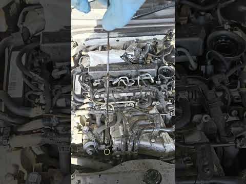 audi overfilled engine oil #audi #carfails #tdi #carfails #carproblems #carservice #carfix #vag