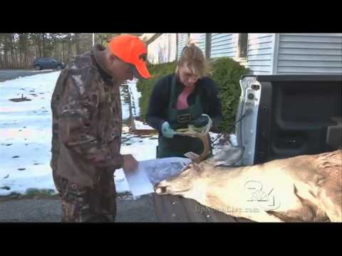 Michigan DNR considers cancelling deer hunting season in U.P.