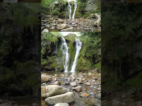 Valley Of Desolation Waterfall - Posforth Gill Waterfall - Bolton Abbey Walking Tour Yorkshire UK ????????