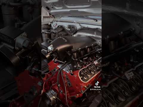 Holley Performance Hi Ram set up!!