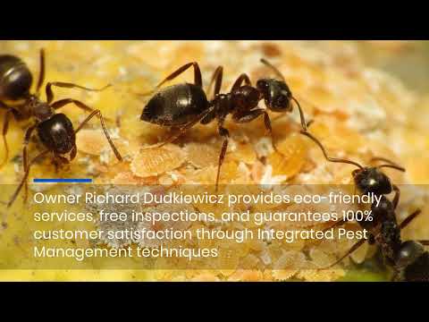 Elite Pest Services Launches New Pest Control Website In Tampa Bay
