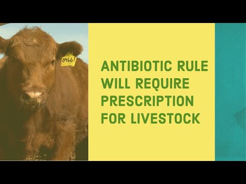 Antibiotic Rule will Require Prescription for Livestock