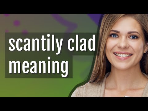 Scantily clad | meaning of Scantily clad