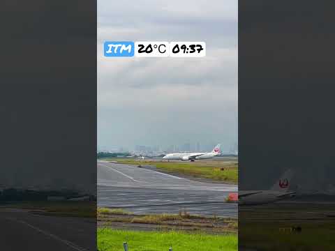 Boeing787 Dreamliner JAL Heading to the tarmac Osaka International Airport #boeing787 #jal #spotting
