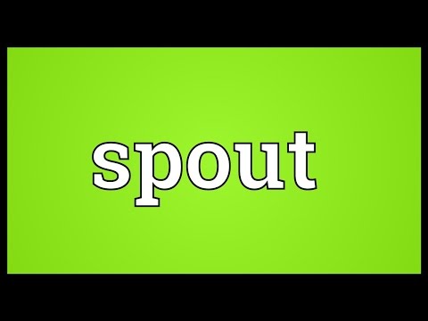 Spout Meaning