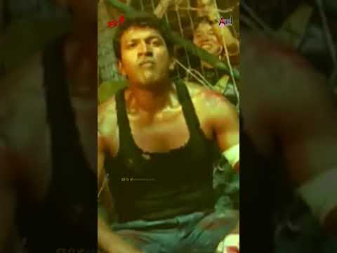 Jackie | Jackie Jackie | Puneeth Rajkumar | Bhavana | V. Harikrishna | Puneeth Rajkumar Hit Songs