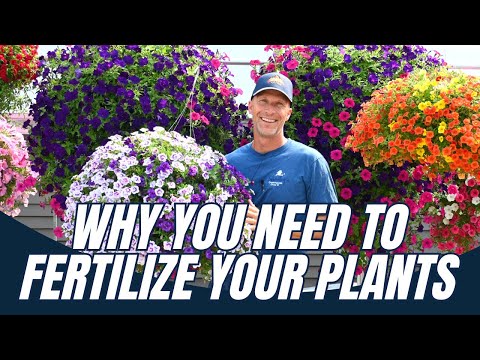 Why You Need to FERTILIZE Your Plants