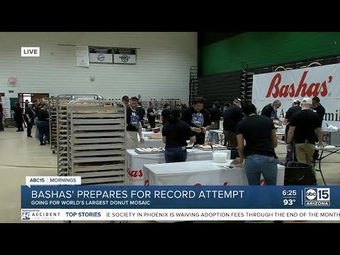 Bashas' attempts Guinness World Record mosaic