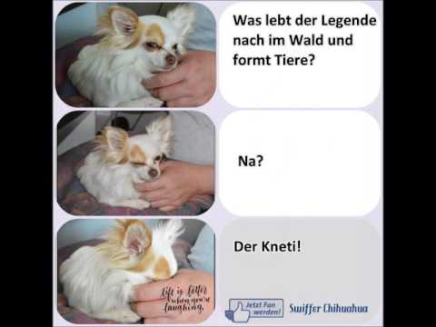 Swiffers Flachwitze 006