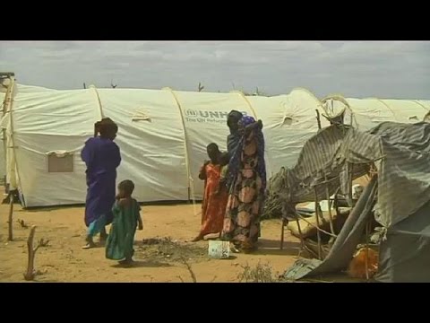 Kenya to slash Dadaab population by half by end of 2016