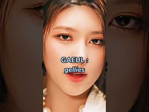 IVE members solo fandom names๐ค
