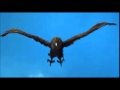 Giant Condor | Wikizilla, the kaiju encyclopedia