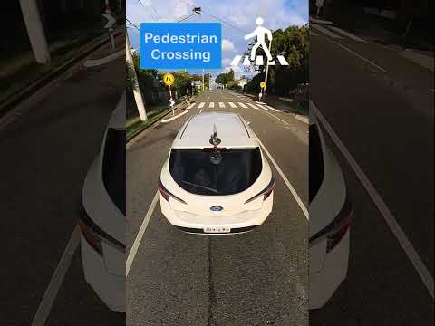 Pedestrian waiting (Pedestrian Crossing Rules) #drivingtesttips #pedestriancrossing #drivingtest