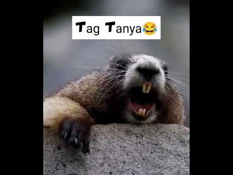 tag tanya name if you want more like this comment