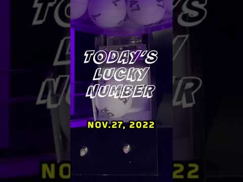 The REAL Random Number Generator 1 to 100 | Nov.27, 2022
