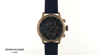 1791808 - Zegarek Tommy Hilfiger • Fabrykazegarków.pl
