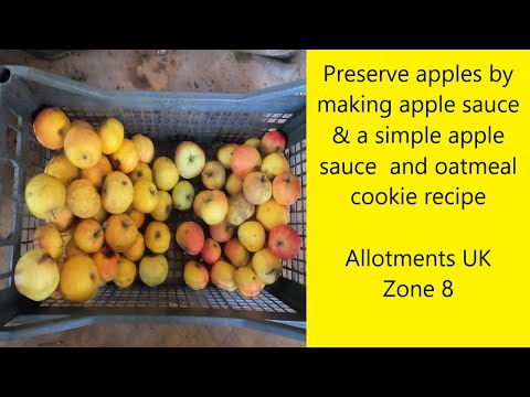 Preserve apples by making apple sauce and a oat and apple sauce cookie ...