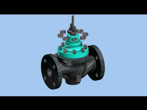 What are the Components of a Globe Valve?