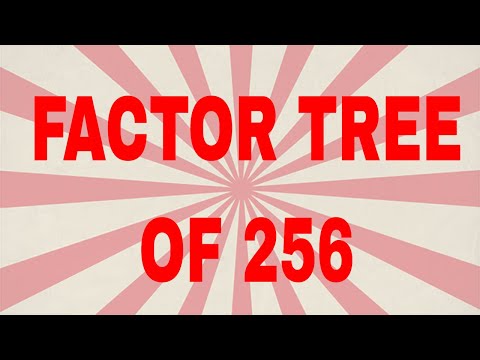 Factor tree of 256|Prime factor tree