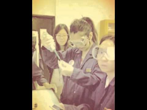 AYJSS BIOIDC: DNA Fingerprinting