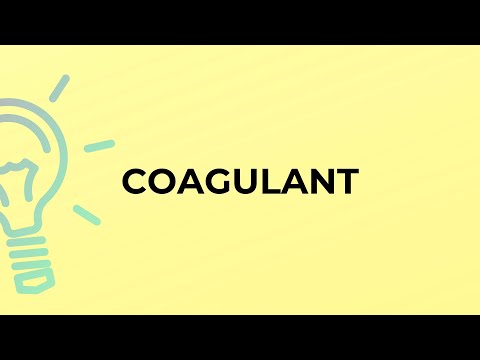 What is the meaning of the word COAGULANT?