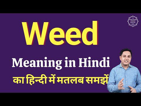 Weed meaning in Hindi | Weed ka kya matlab hota hai | online English speaking classes