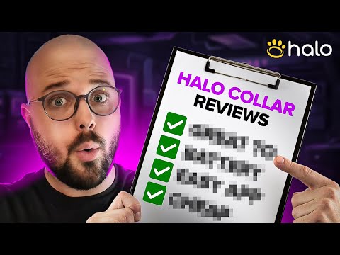 Halo Collar 4 Review: The Best Budget GPS Dog Collar? (Real Test & Discount)