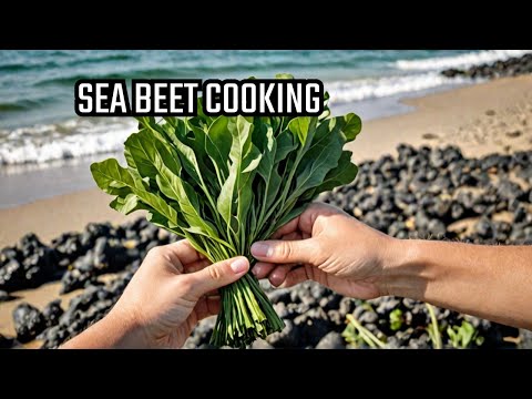 The Hunt for Sea Beet: Foraging and Cooking with the Ocean