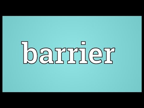 Barrier Meaning