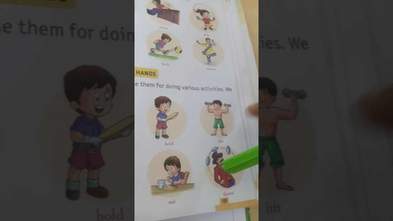 E. V. S  body parts (worksheet )