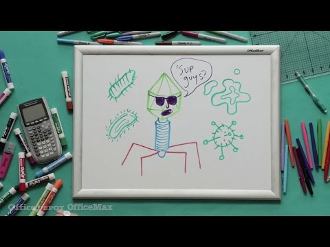Having Fun Teaching: Mark Rogers | Office Depot OfficeMax