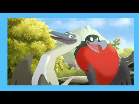 BIGB SHOWREEL 2011