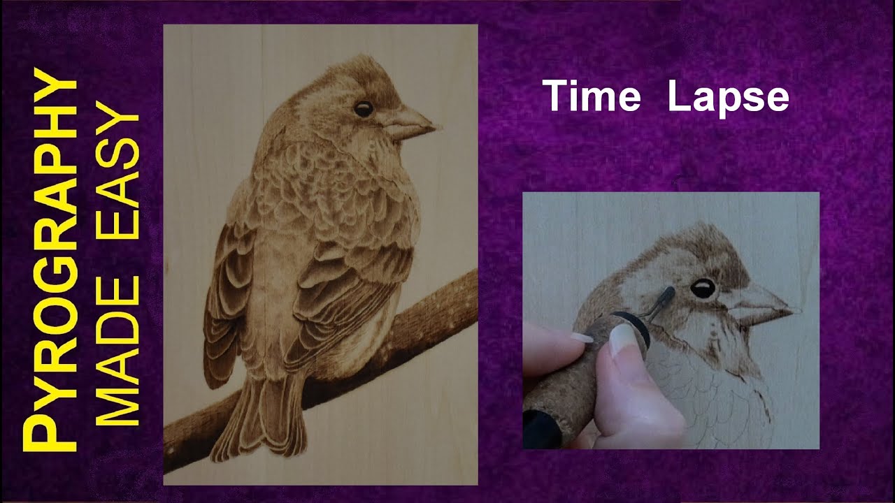 Wood Burning Art - Purple House Finch bird - pyrography time lapse